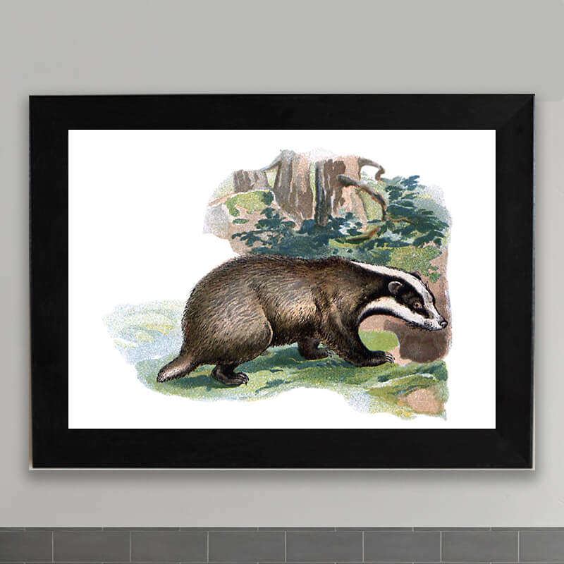 Vintage Badger Print Safari – 46Memories